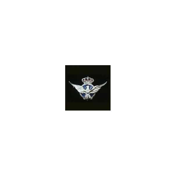 Private Pilot Spanish pin badge