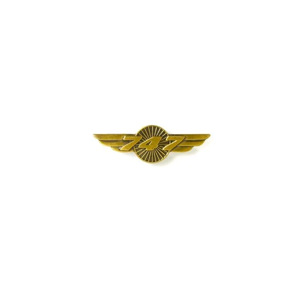 Boeing 747 wings pin